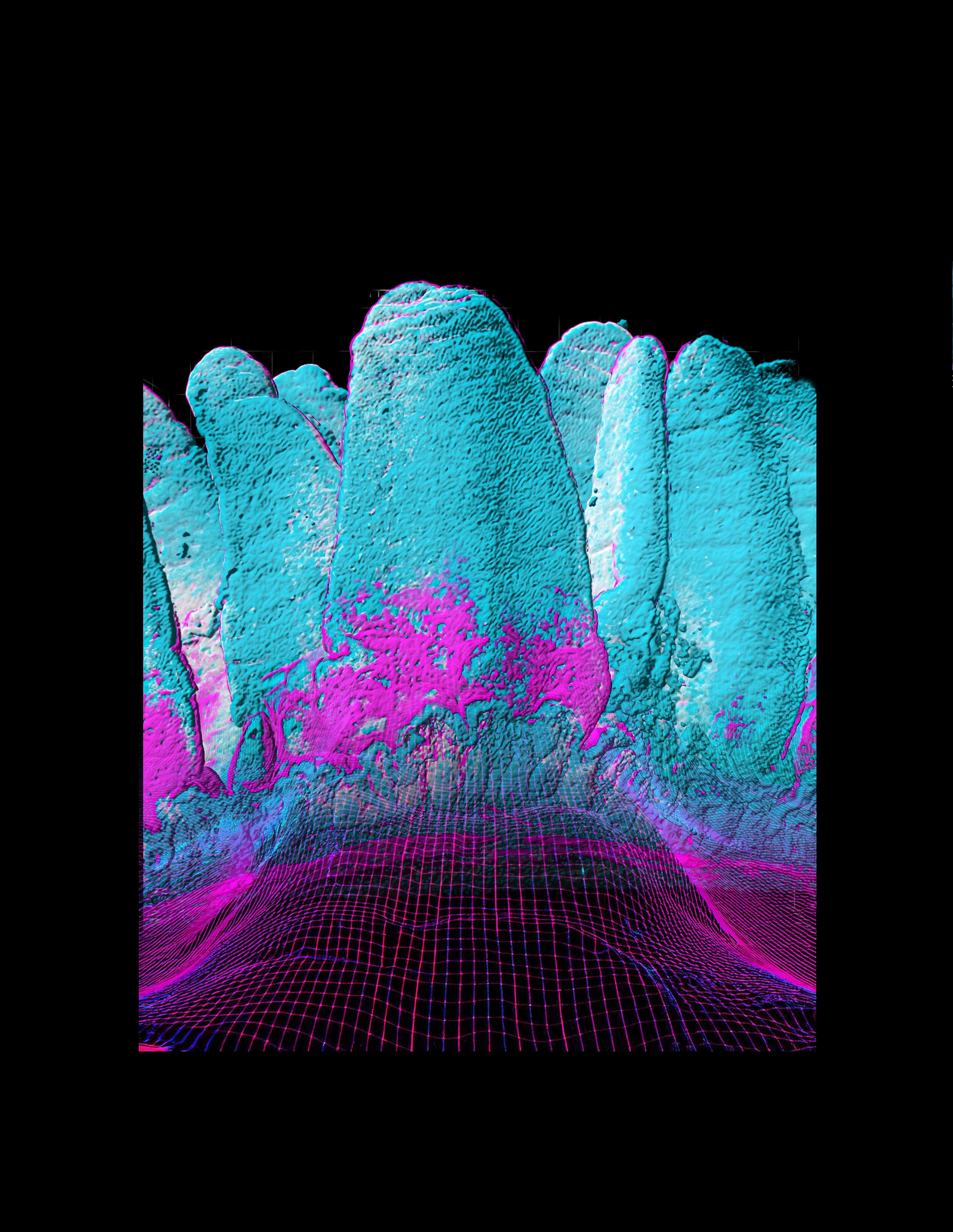 Mothers massively change their intestines during pregnancy and nursing