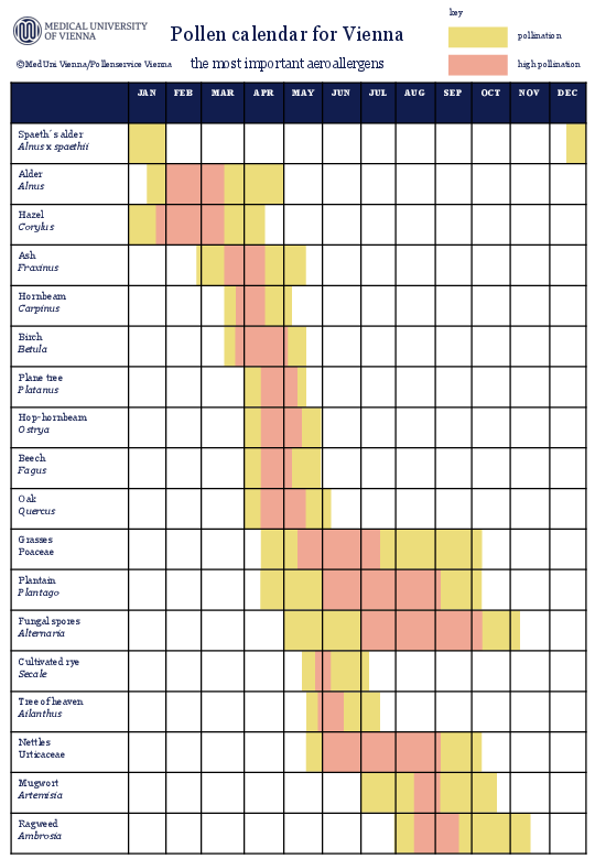 Pollen calendar | MedUni Vienna