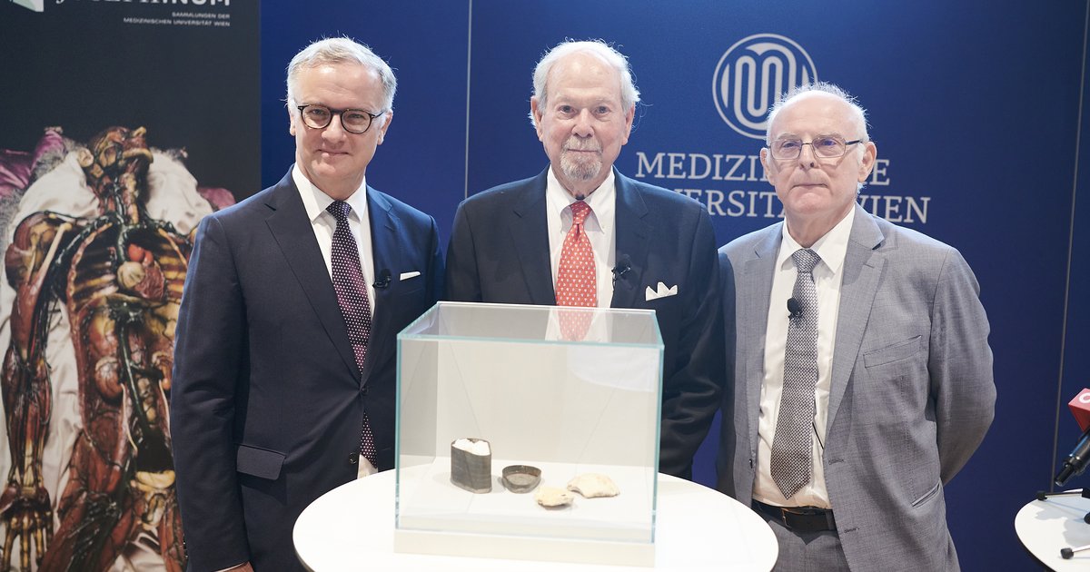 Seligmann fragments back in Vienna after decades