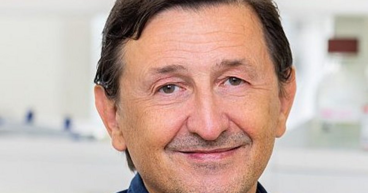 Holzmann Lab | Research Focus