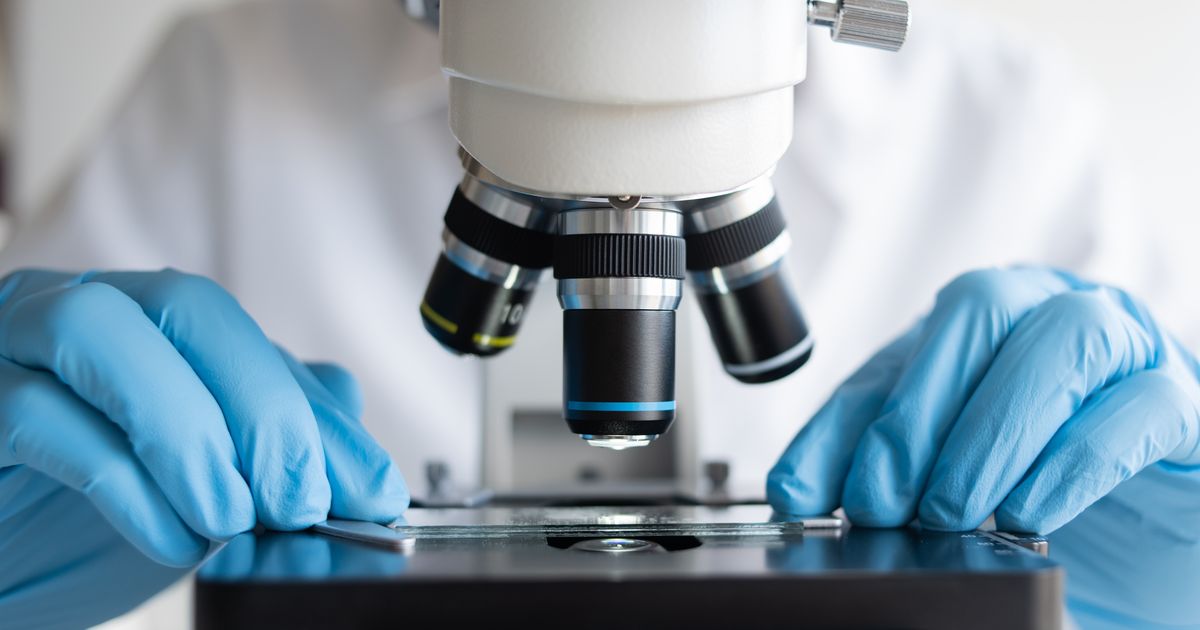 Multiple sclerosis: Possible basis for vaccine researched