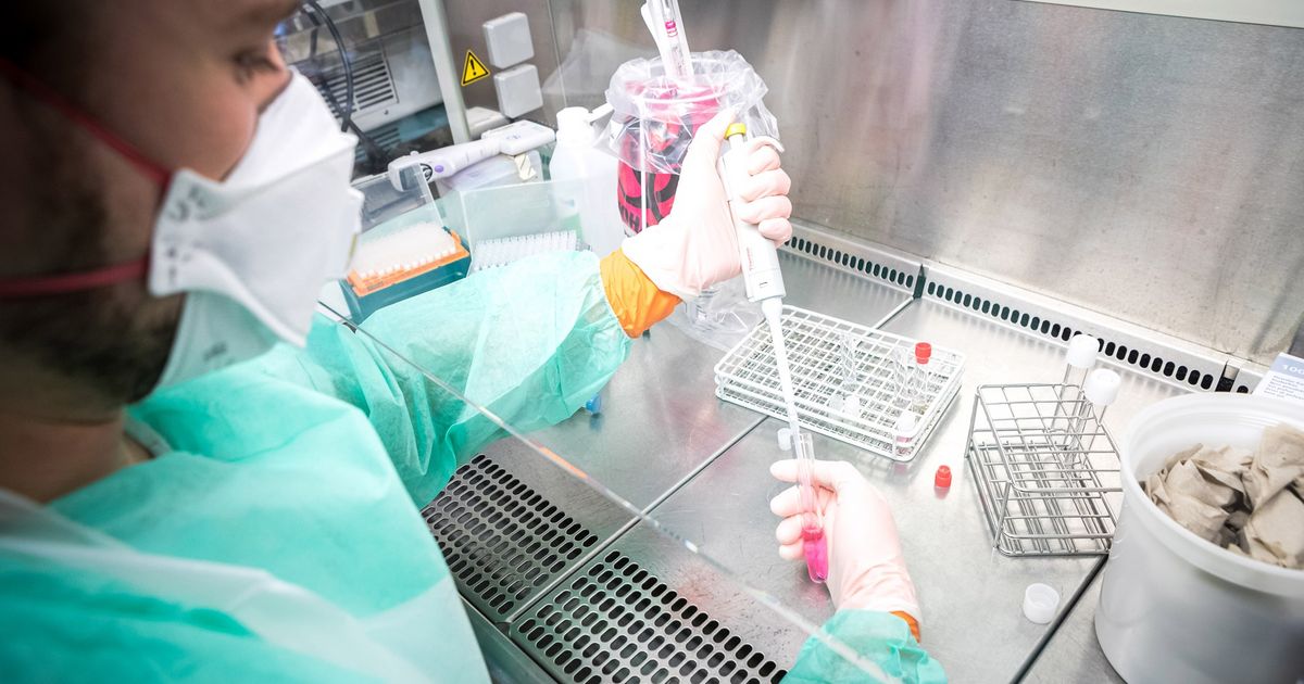 3-Millionen-Euro-Grant der EU für die Entwicklung von Coronavirus ...