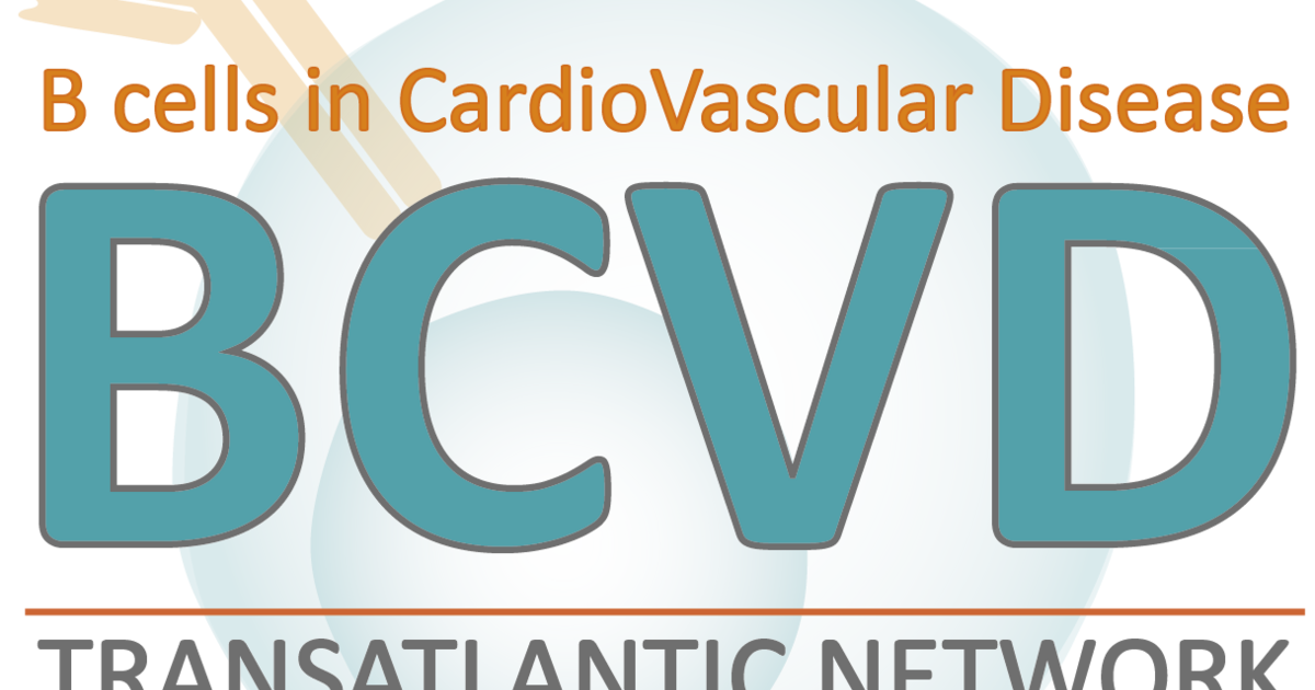 The BVCD network | MedUni Vienna