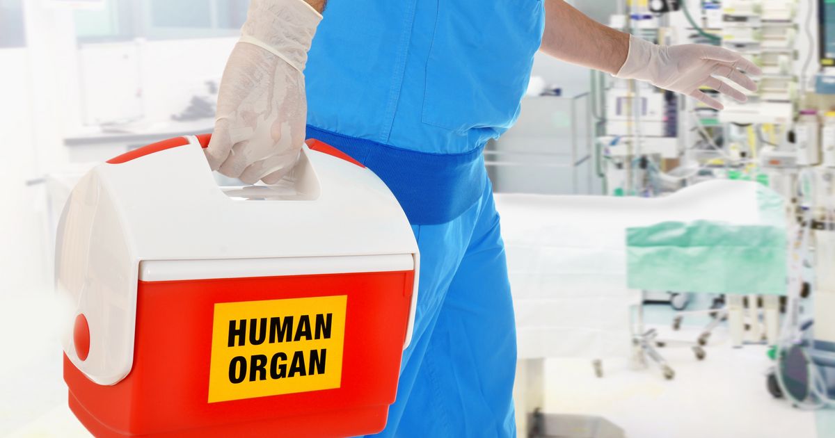 Medical strategies to address the global shortage of donor organs