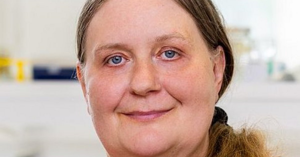 Sutterlüty Lab | Research Focus