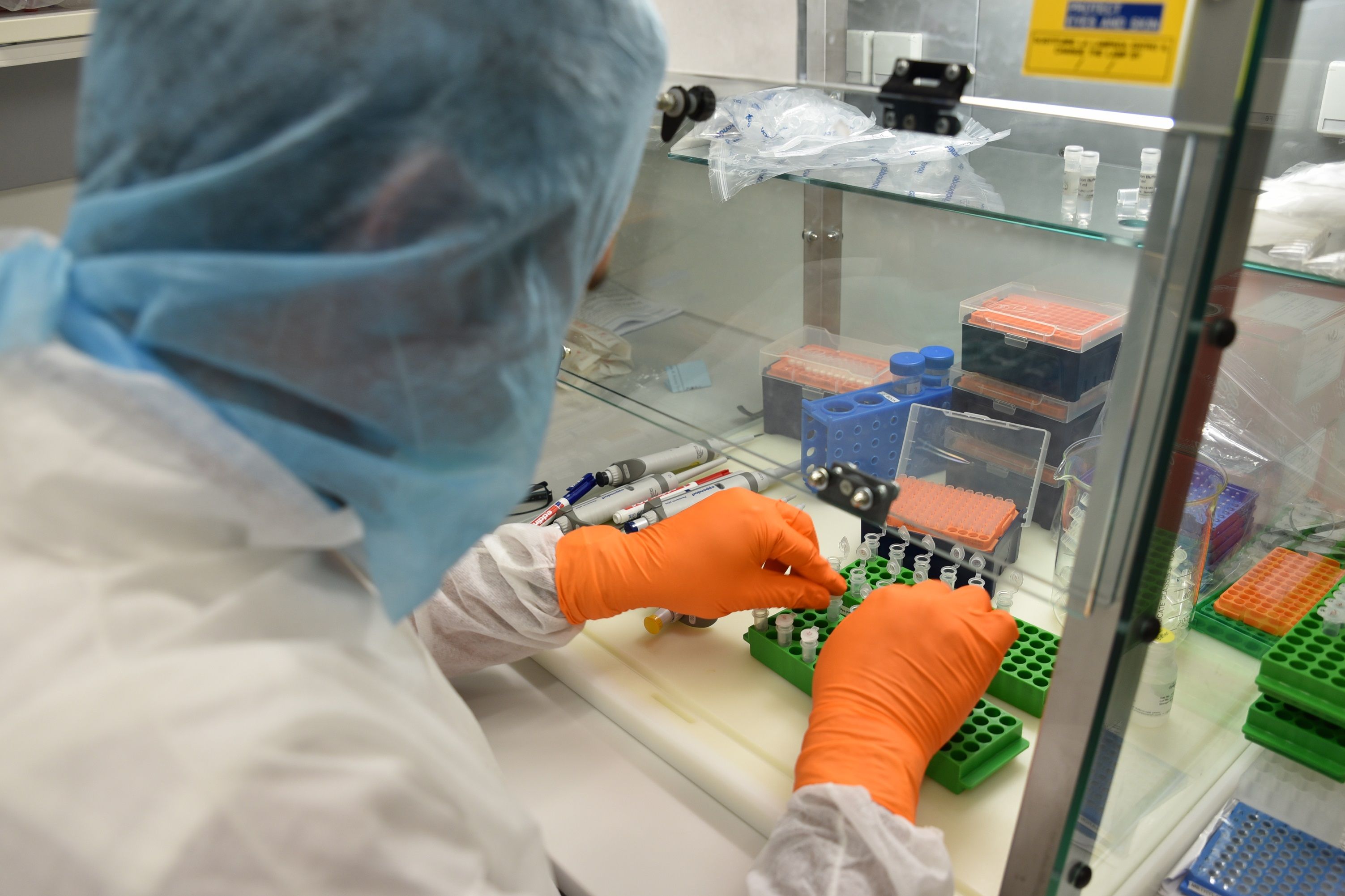 First SARS-CoV-2 genomes in Austria openly available