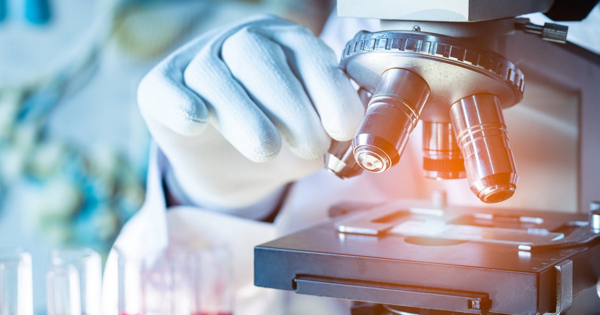 Key cells in chronic sarcoidosis uncovered