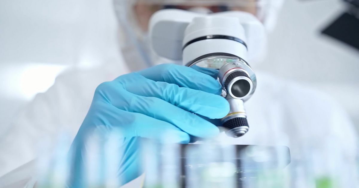 Neue Erkenntnisse zur Steuerung des Immunsystems: Protein TRAT1 wirkt ...