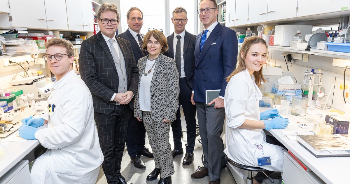 Gemeinsam gegen Krebs: Das Austrian Comprehensive Cancer Network (ACCN ...