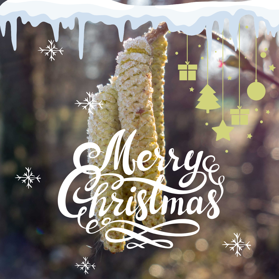 Pollenservice Wien | MedUni Vienna