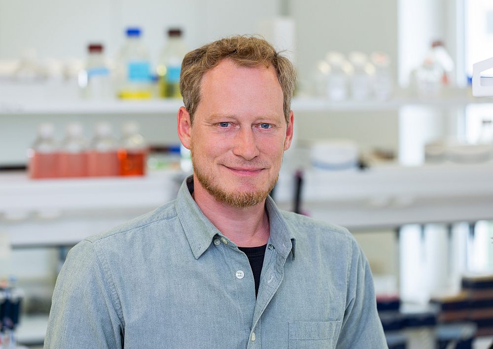 Bauer Lab | Research Focus